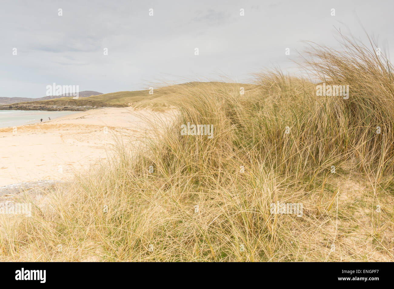 The machair hi-res stock photography and images - Alamy