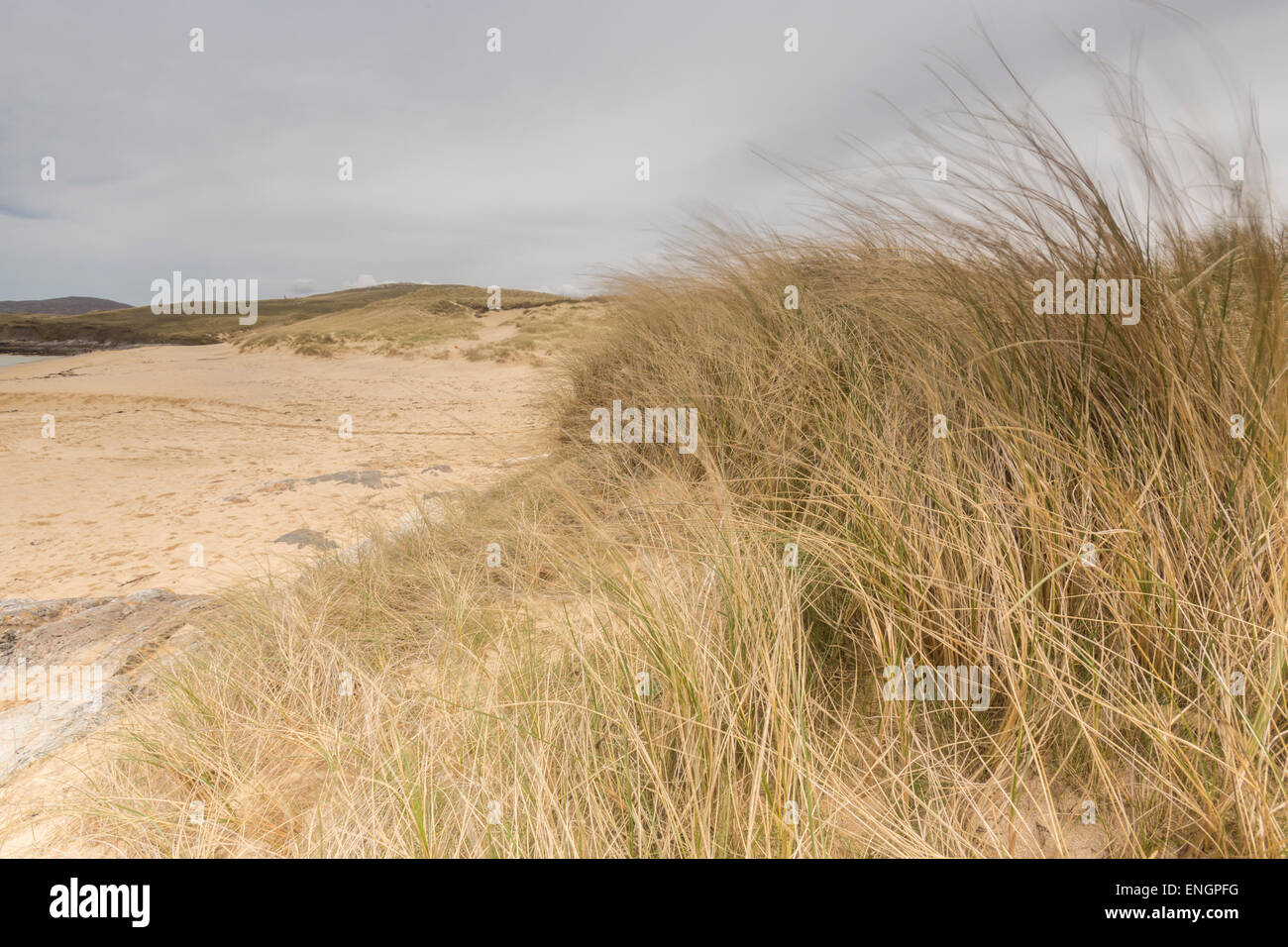 Machair on the the beach in Harris Scotland Stock Photo - Alamy