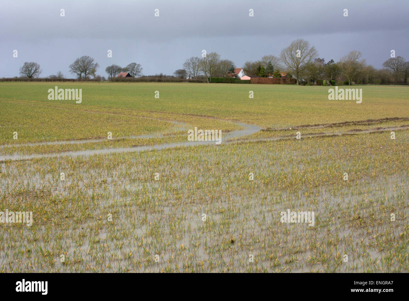 Rural field flooded water in hi-res stock photography and images - Alamy