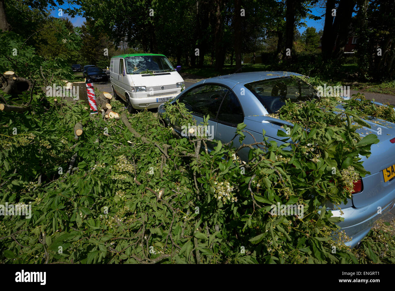 Blocked branch branches car hi-res stock photography and images - Alamy
