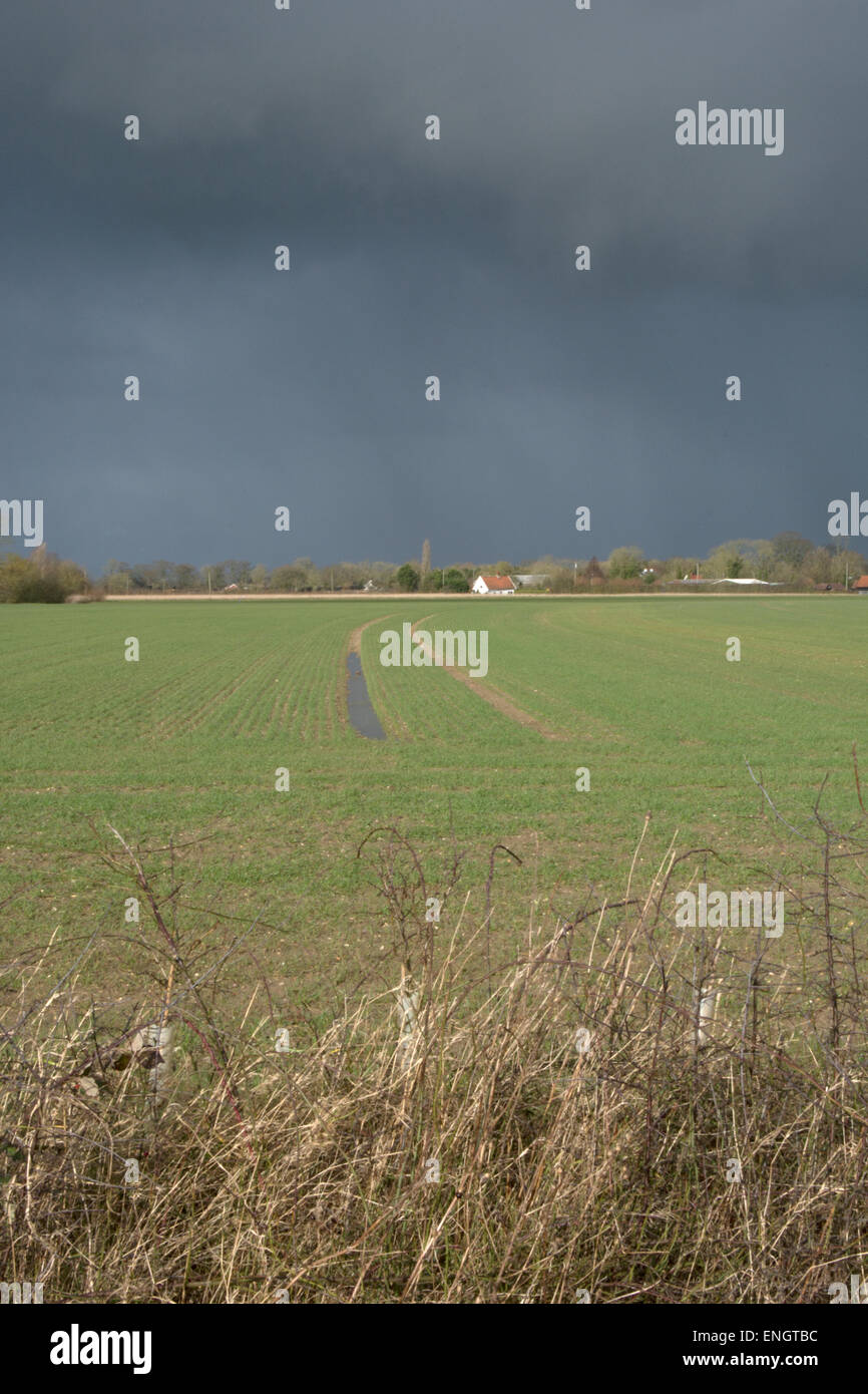 Flat rural hi-res stock photography and images - Alamy