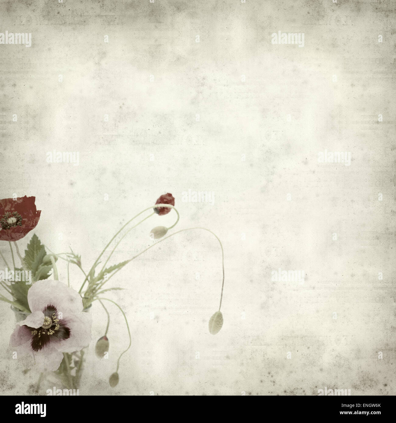 textured old paper background with opening poppies Stock Photo - Alamy