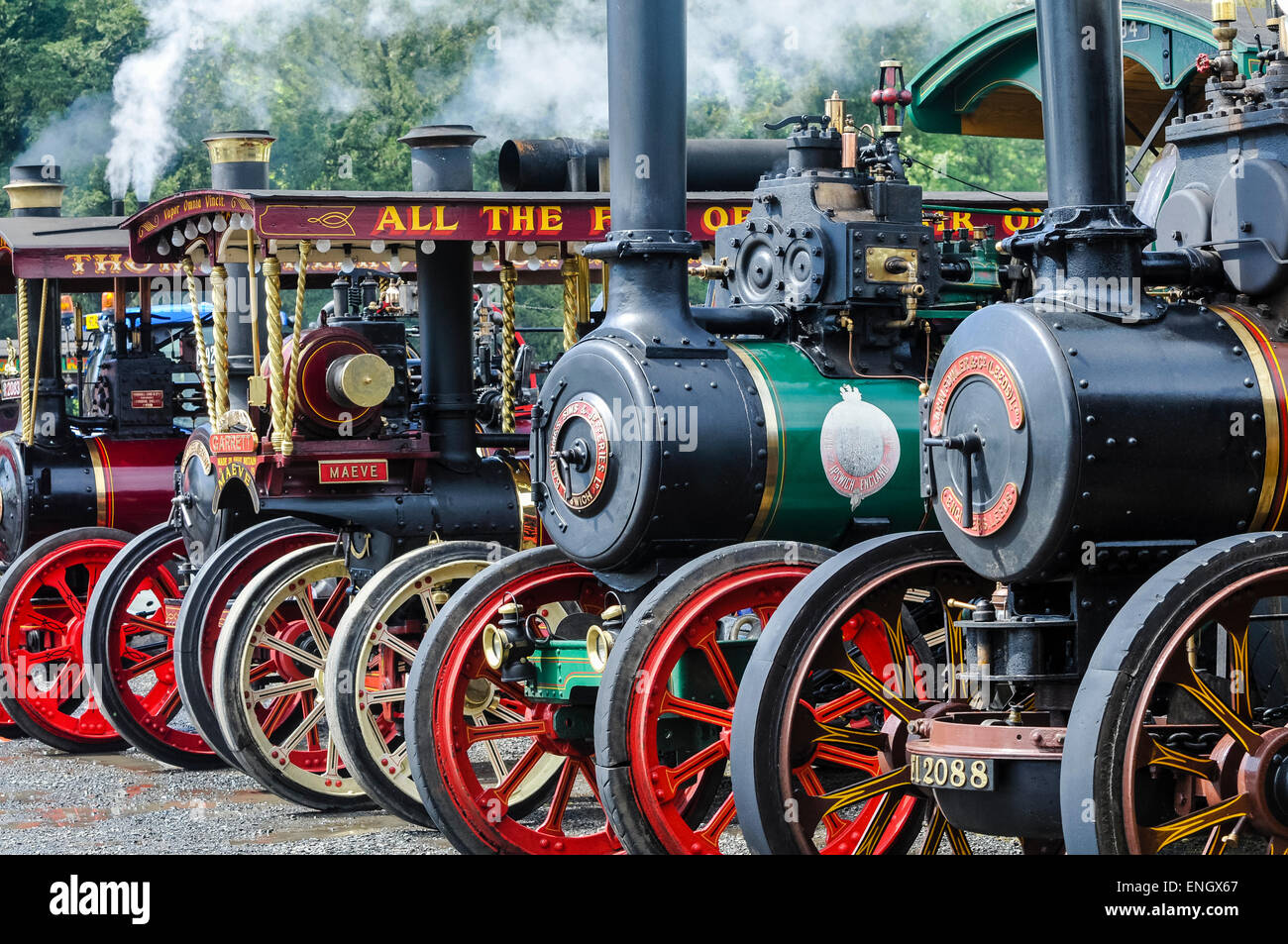 Row of traction engines at a steam fair Stock Photo - Alamy