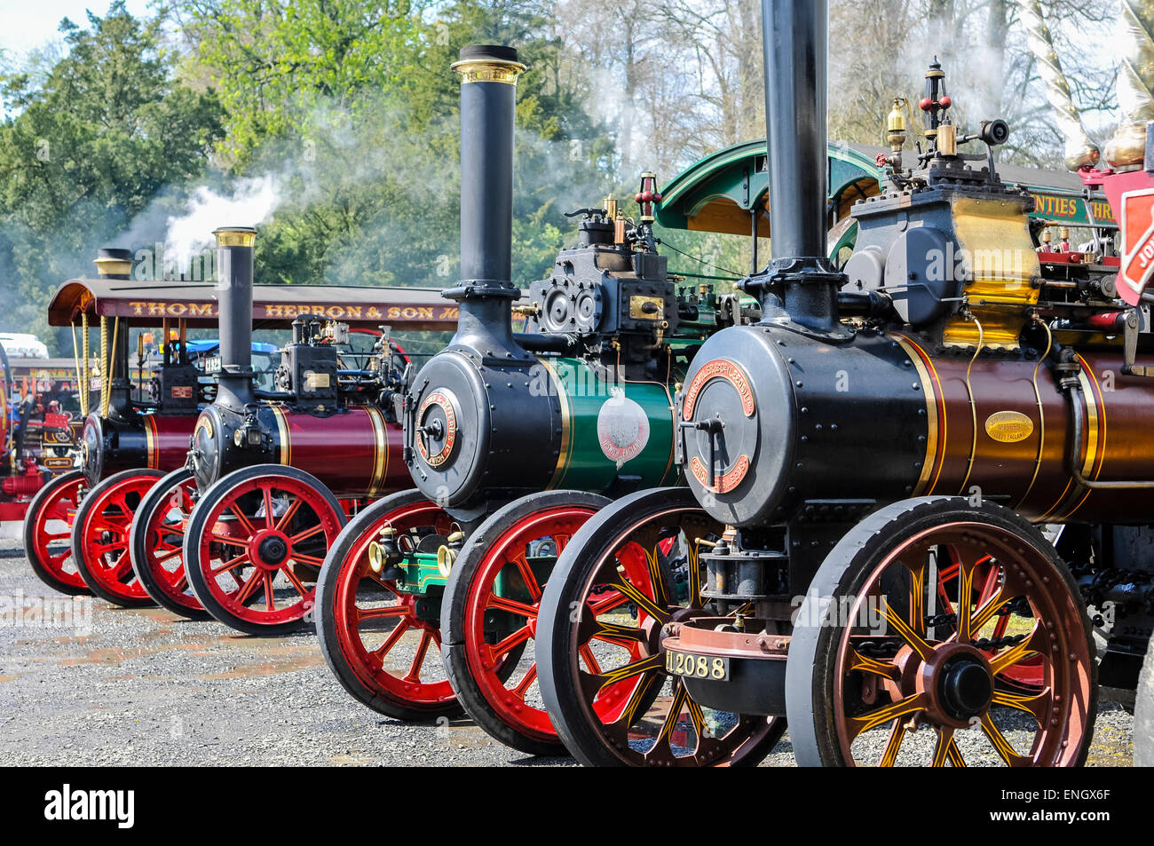 Traditional victorian steam traction engines hi-res stock photography ...