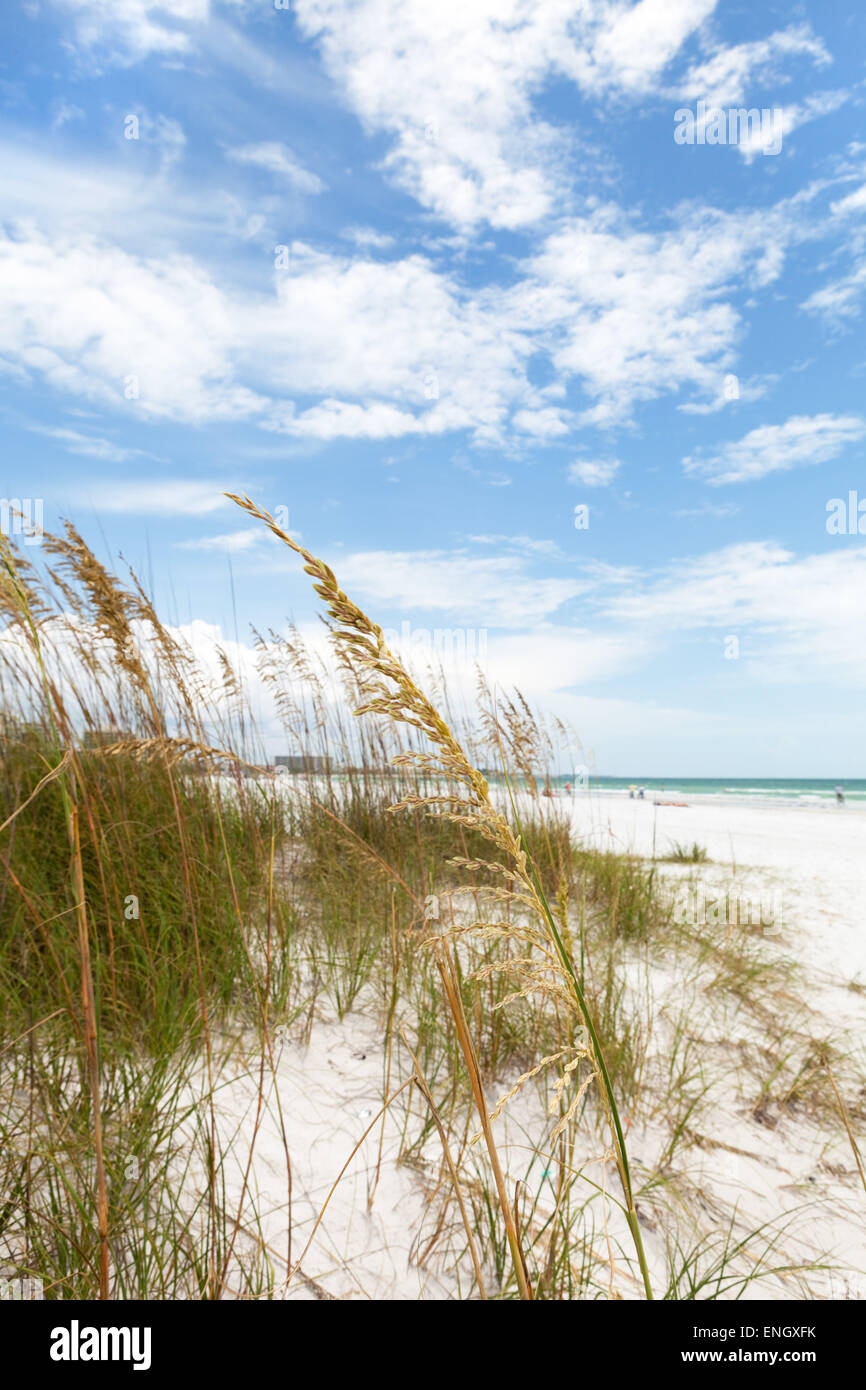 Siesta key beach hi-res stock photography and images - Alamy