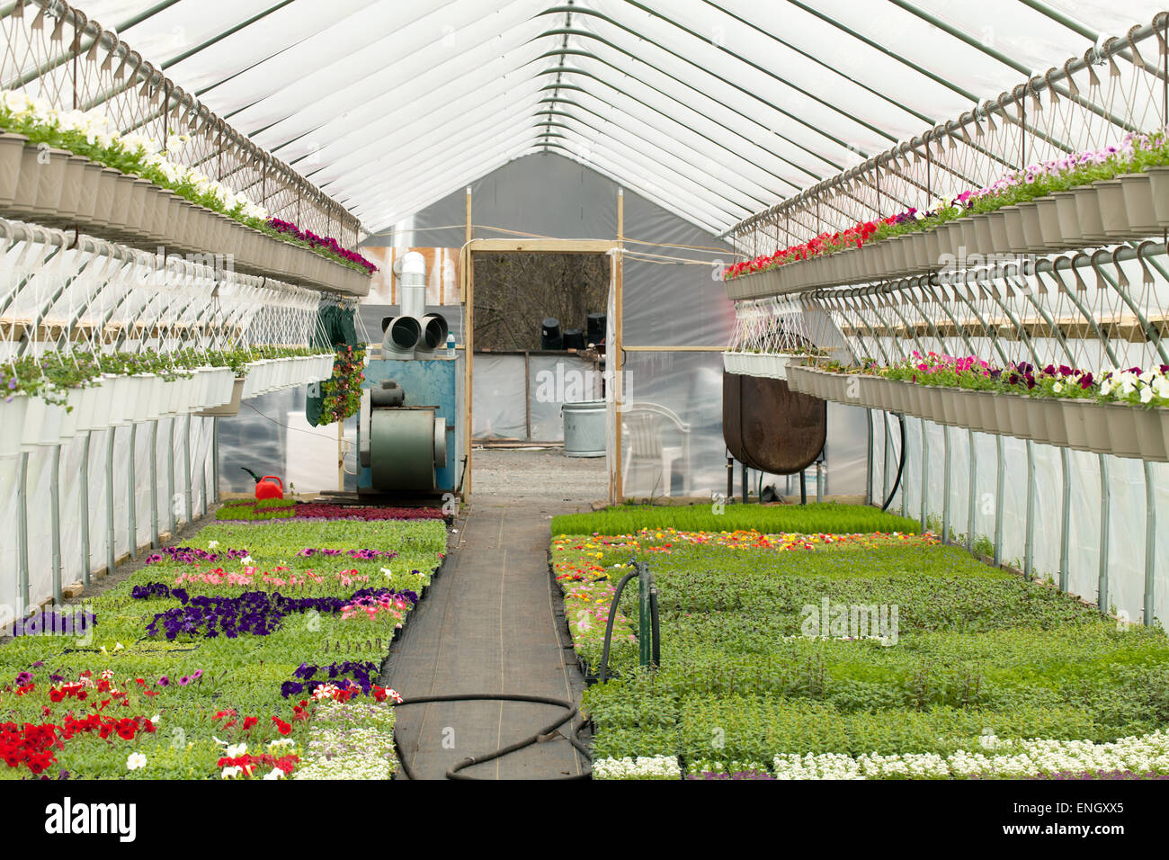 Summer nursery hi-res stock photography and images - Alamy