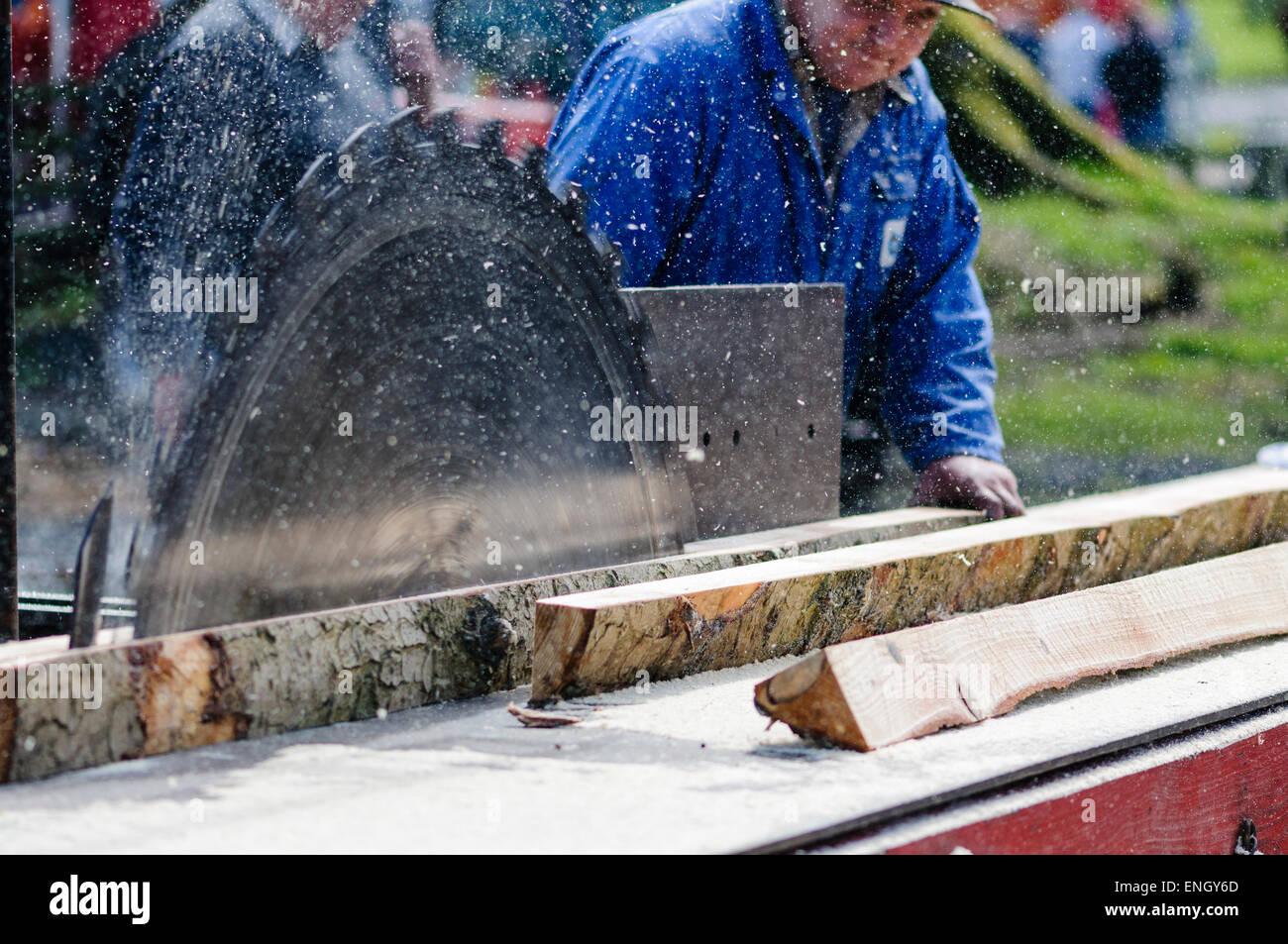 Saw mill cutting wood hi-res stock photography and images - Alamy