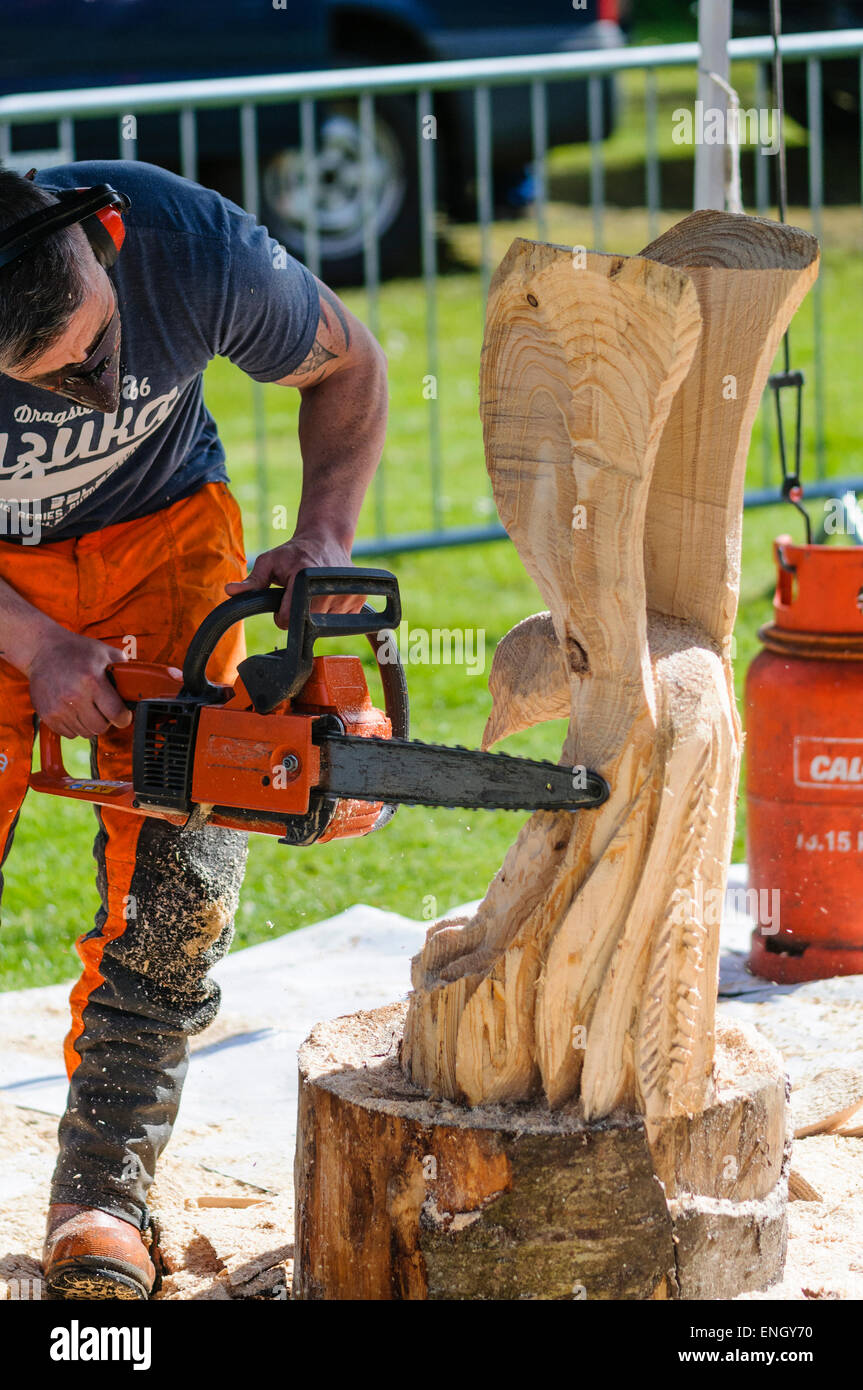 A man uses a chainsaw to carve a large eagle from a tree trunk Stock ...