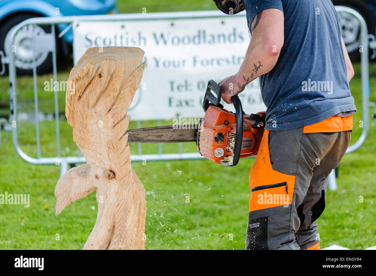 A man uses a chainsaw to carve a large eagle from a tree trunk Stock ...