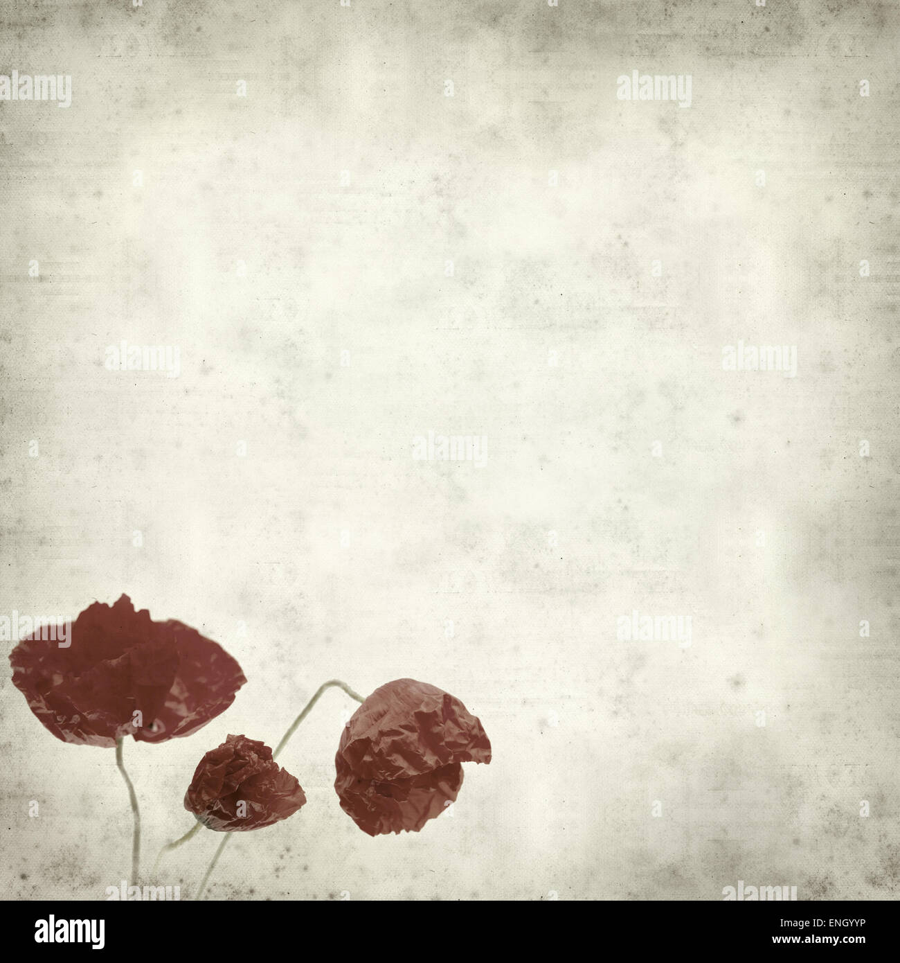 textured old paper background with opening poppies Stock Photo - Alamy