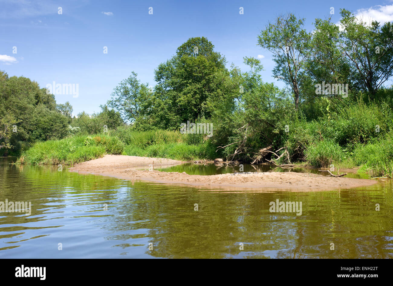 Beach of calm river with green trees under blue sky, summer rural ...
