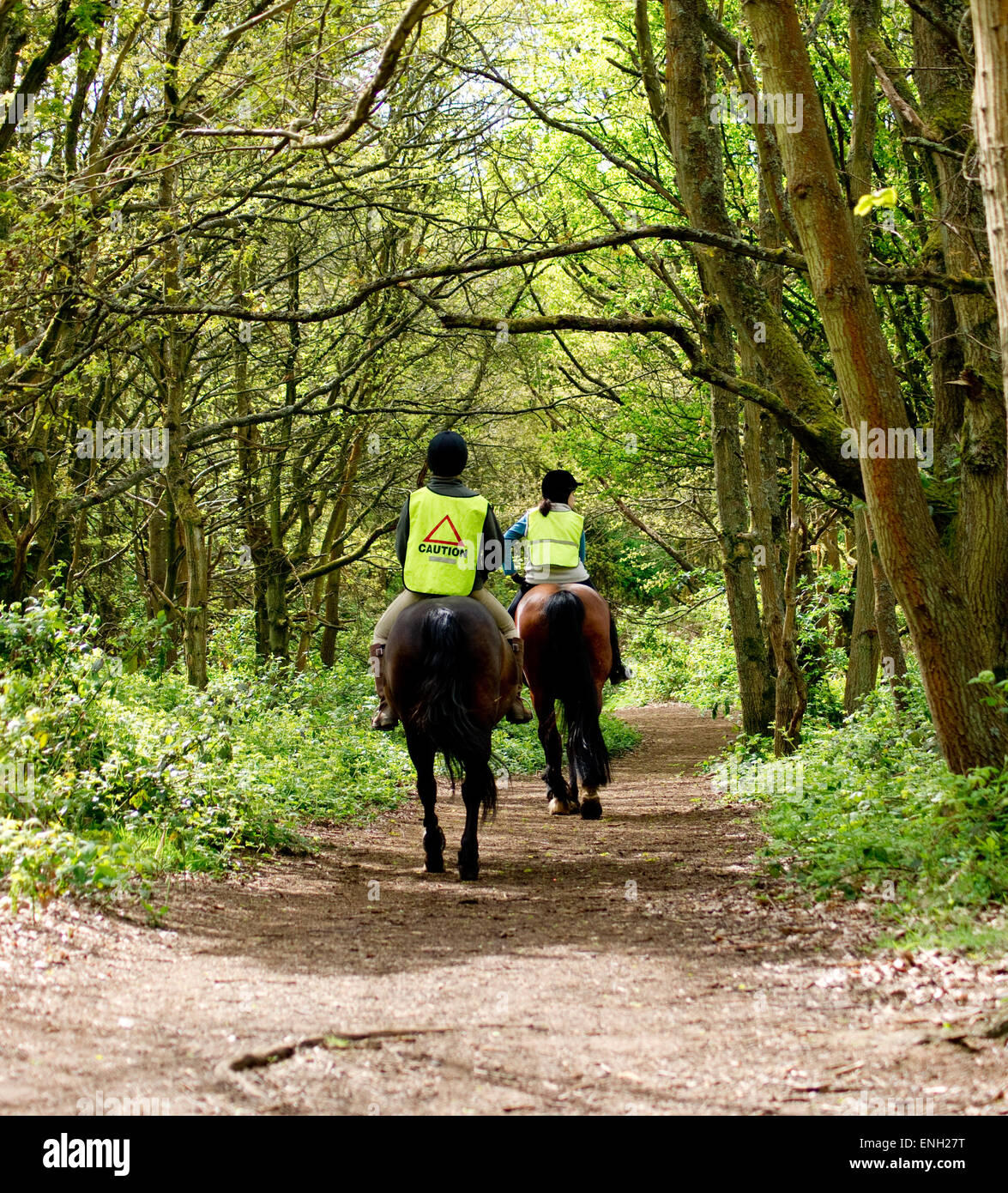 Common riding morning hi-res stock photography and images - Alamy
