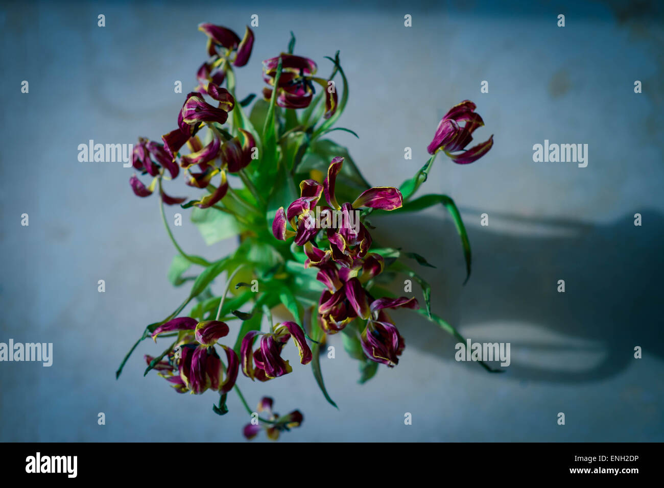 Flowers in a vase on the ground looking down from above Stock Photo - Alamy