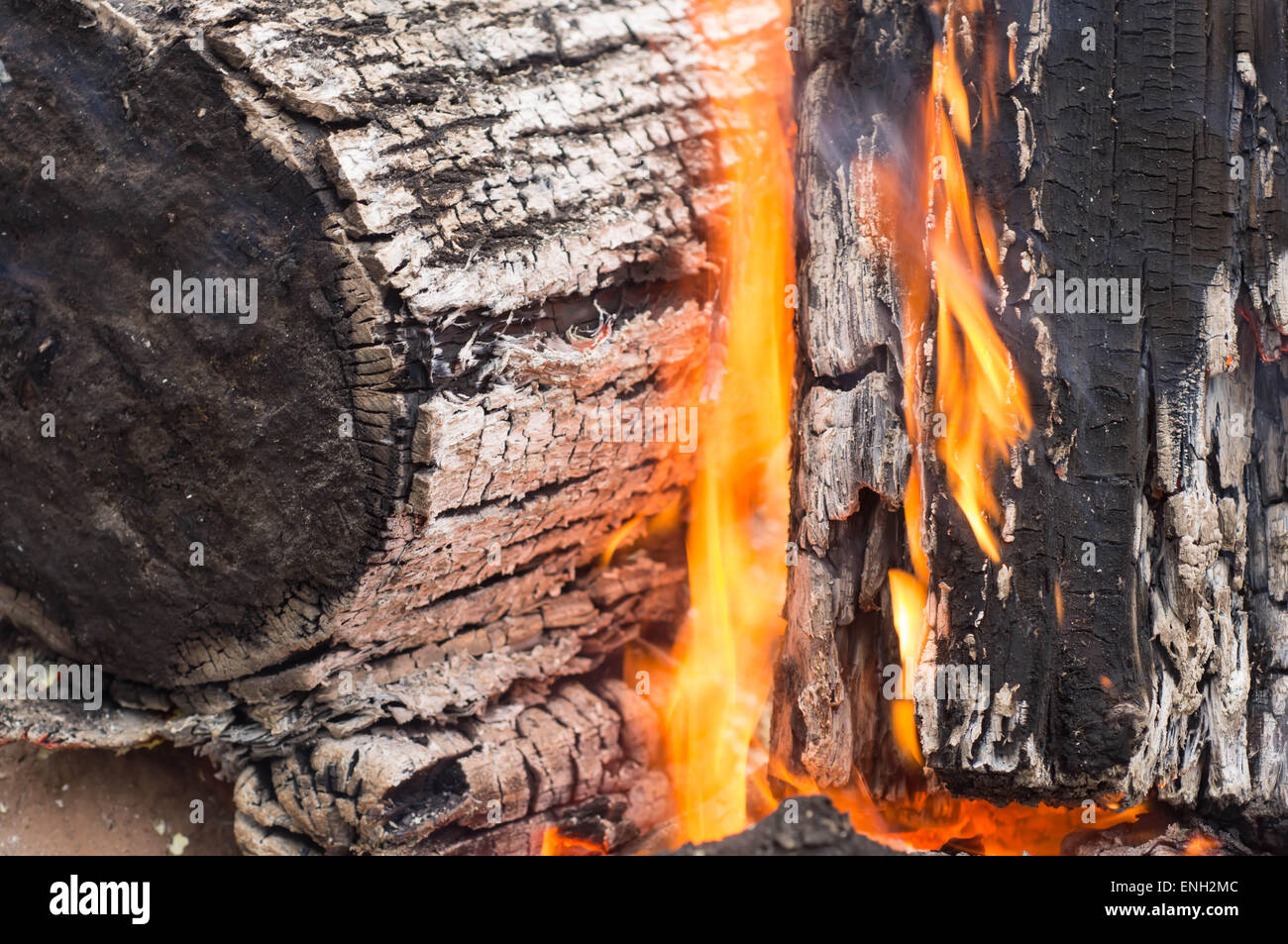 The wood burning in a bonfire close up Stock Photo - Alamy