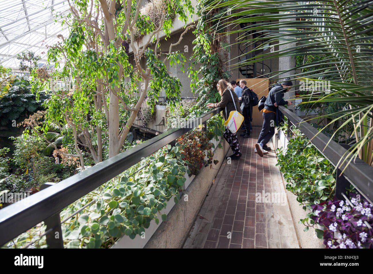 Barbican conservatory inside the Barbican Centre, London, England Stock ...