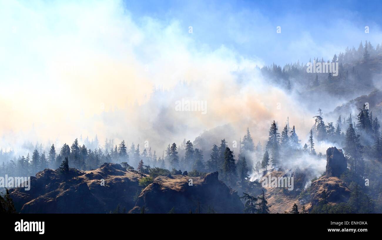 Natural forest fire hi-res stock photography and images - Alamy