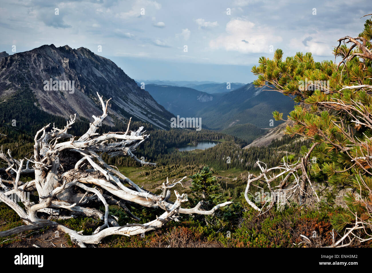 White river valley hi-res stock photography and images - Alamy