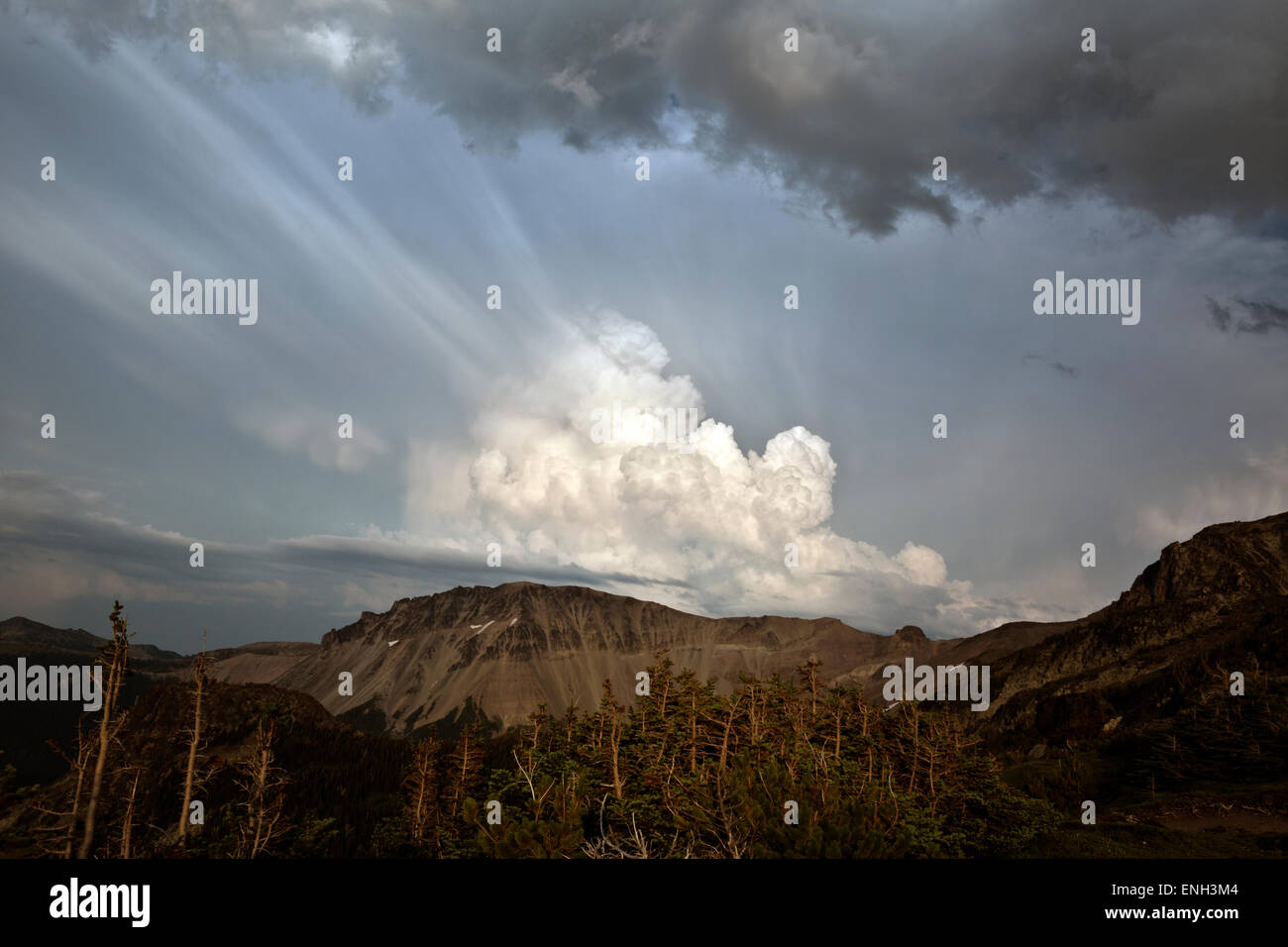 WASHINGTON - Odd streaks and a storm cloud hit by the late afternoon ...