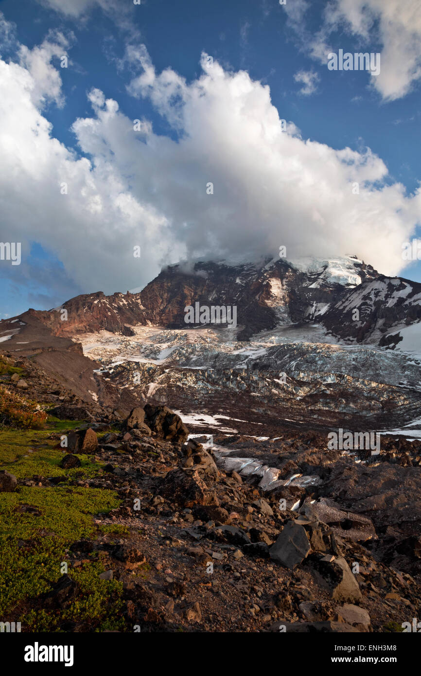 Willis wall mount rainier glacier hi-res stock photography and images ...