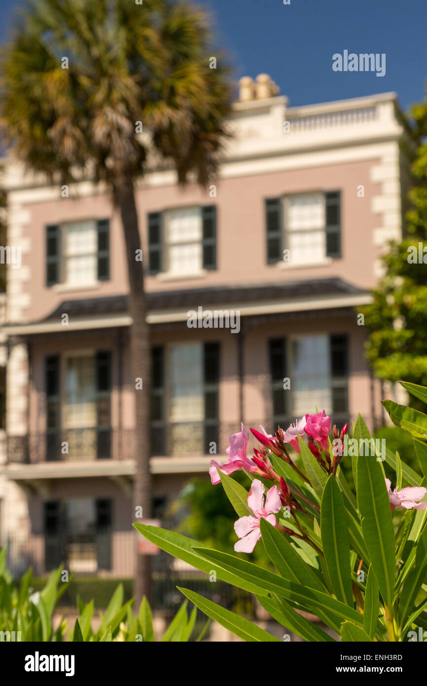 Oleander blooms at the Edmonston-Alston House on East Battery in ...