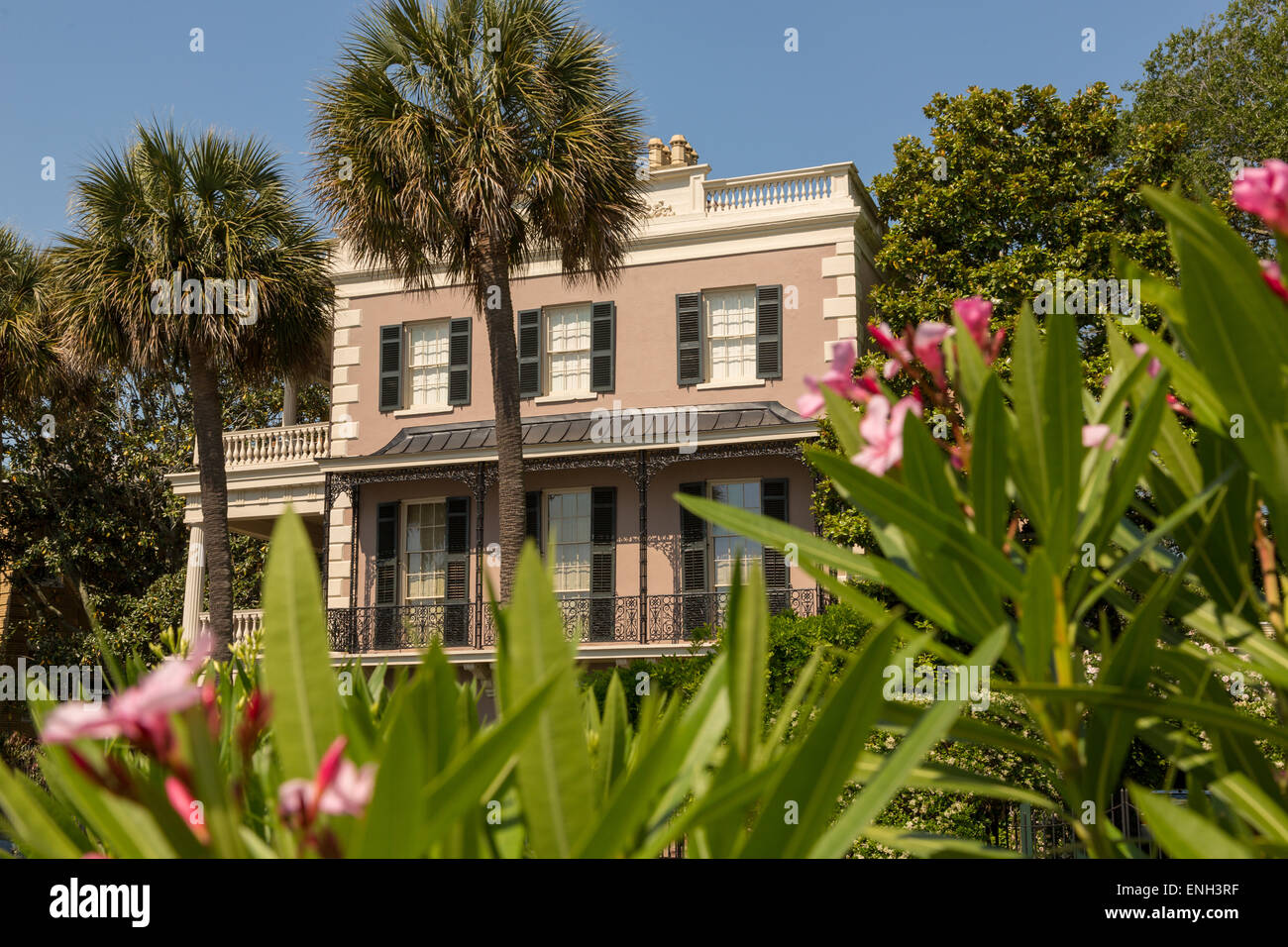 Oleander blooms at the Edmonston-Alston House on East Battery in ...