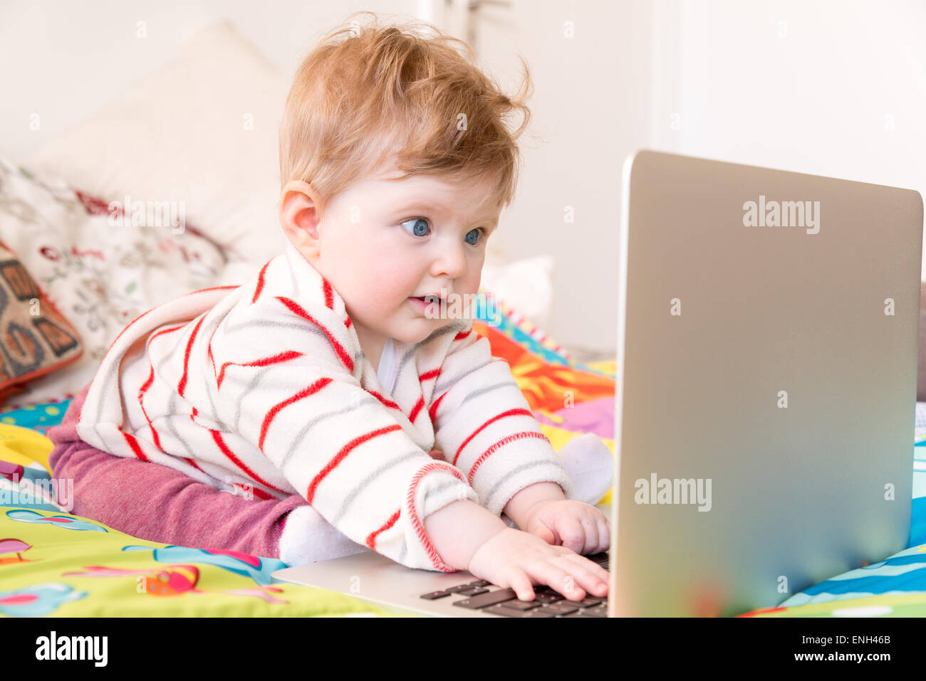Eight month old baby using laptop computer Stock Photo - Alamy