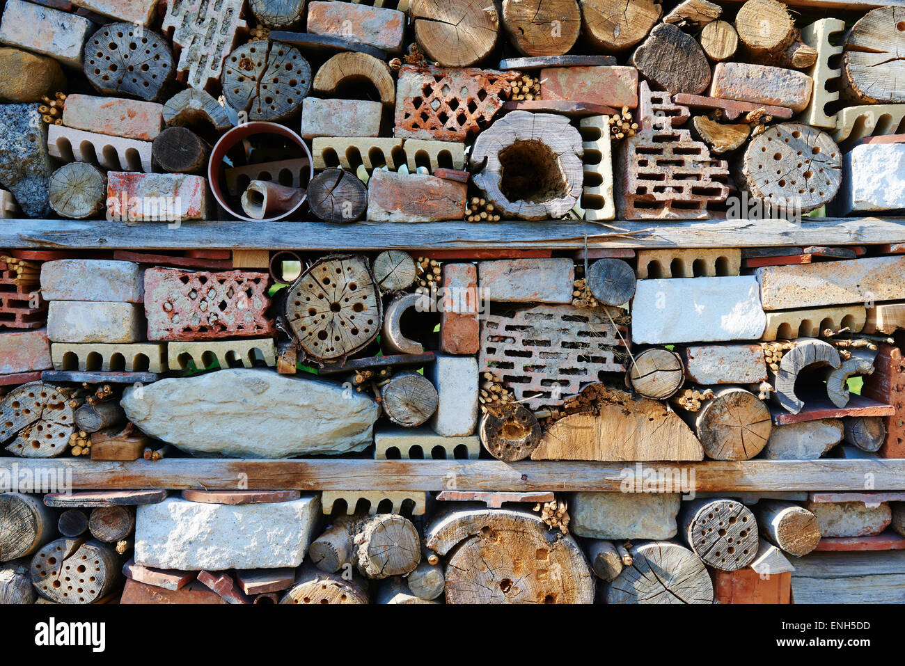 Home provided for insects hi-res stock photography and images - Alamy