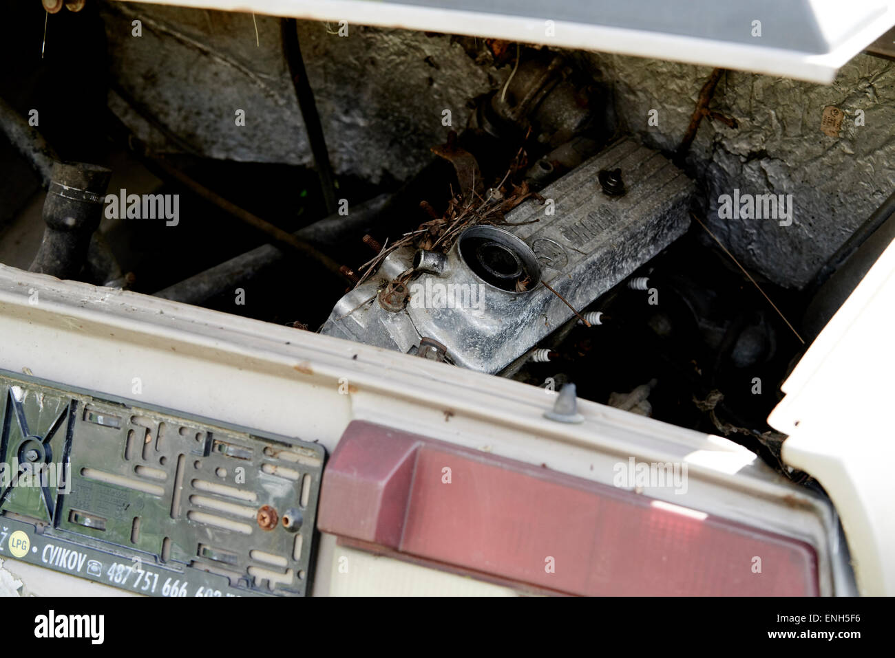 Junk Wrecked Car with Parts Removed in Wrecking Yard Stock Photo - Alamy