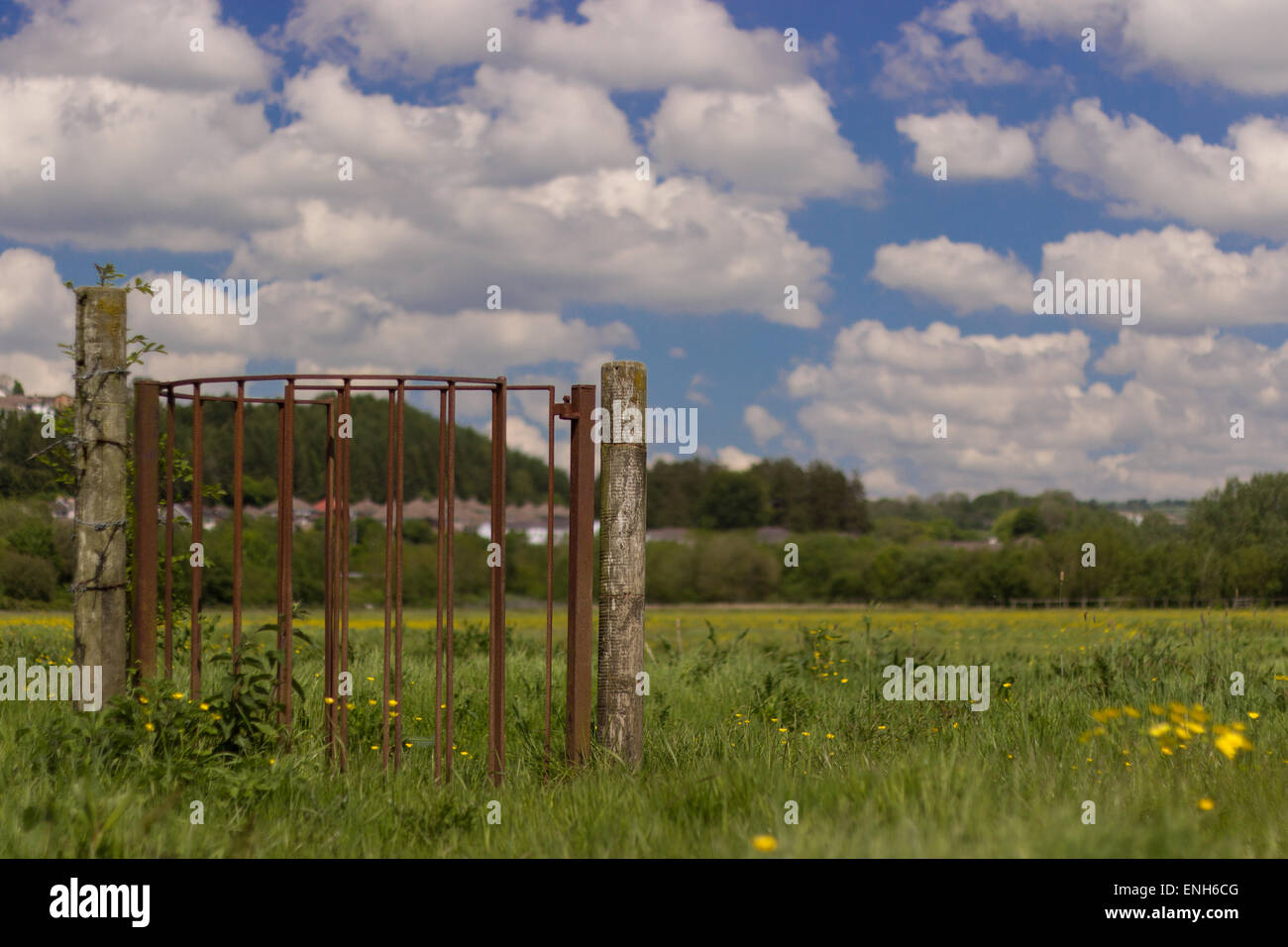 Lone standing gate Stock Photo - Alamy