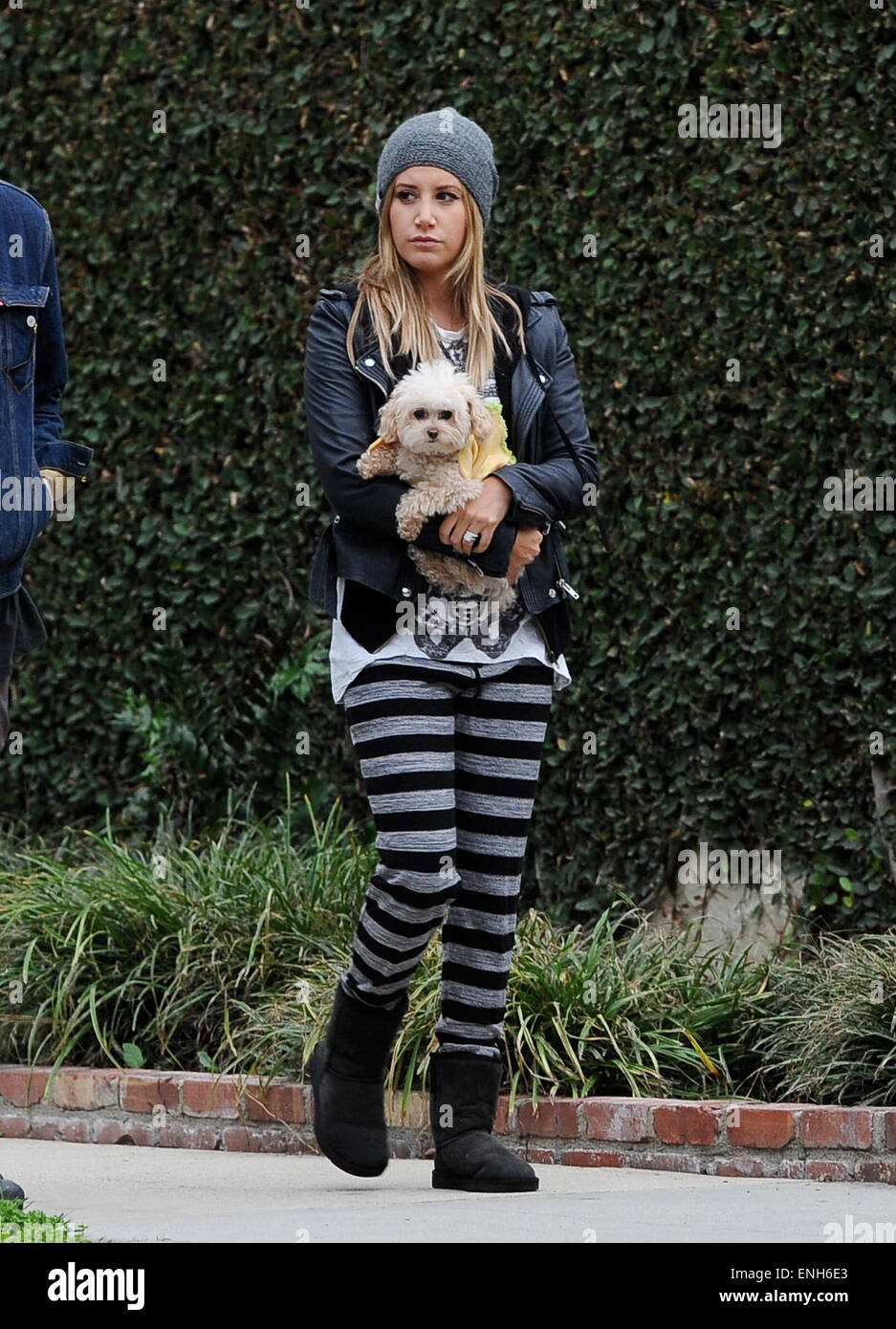 Halloween halloween skeleton hat boots hi-res stock photography and ...