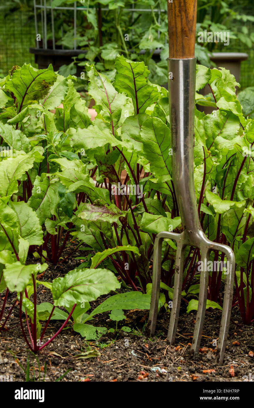 Garden fork hi-res stock photography and images - Alamy