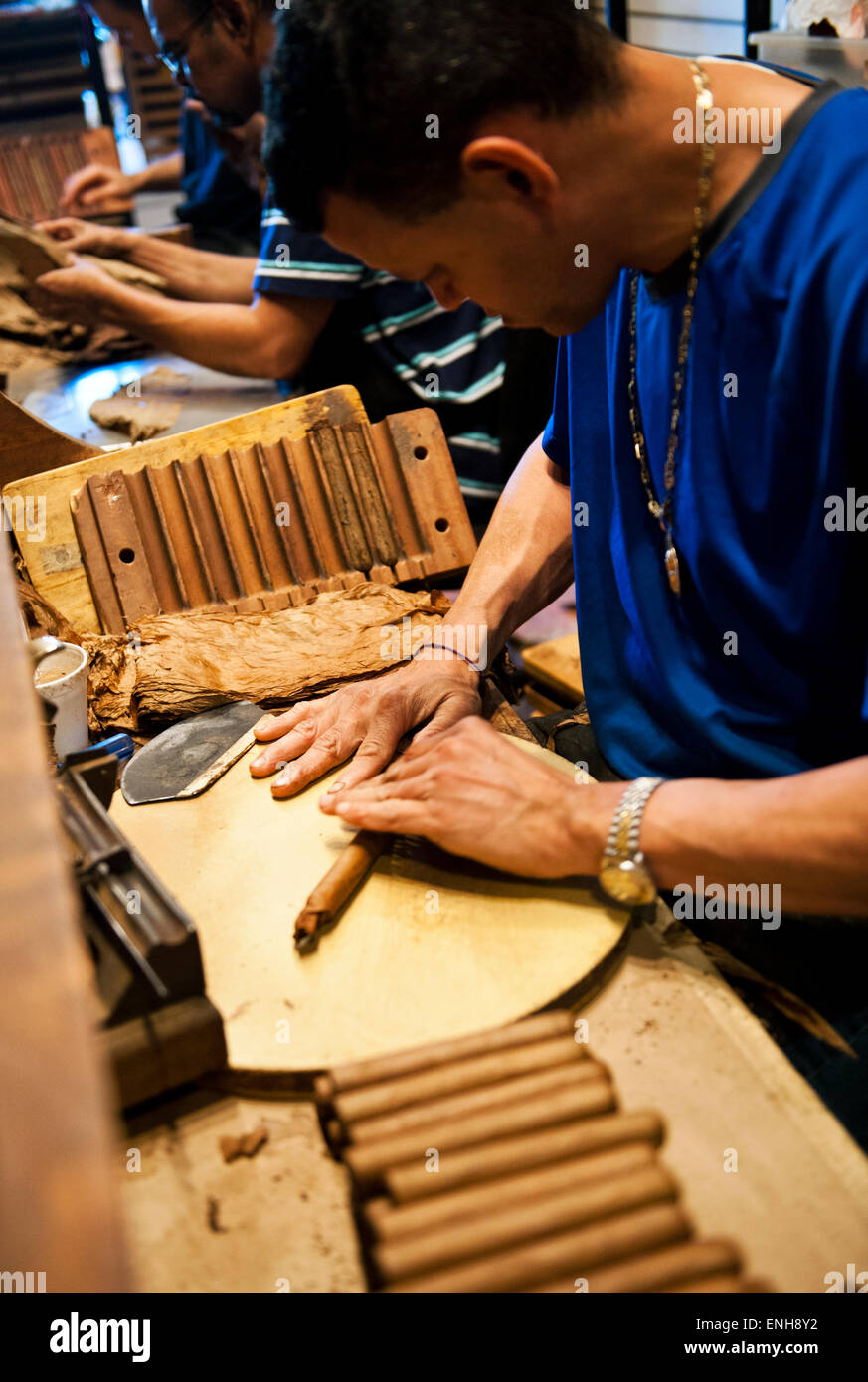 A man rolling cigars Stock Photo - Alamy
