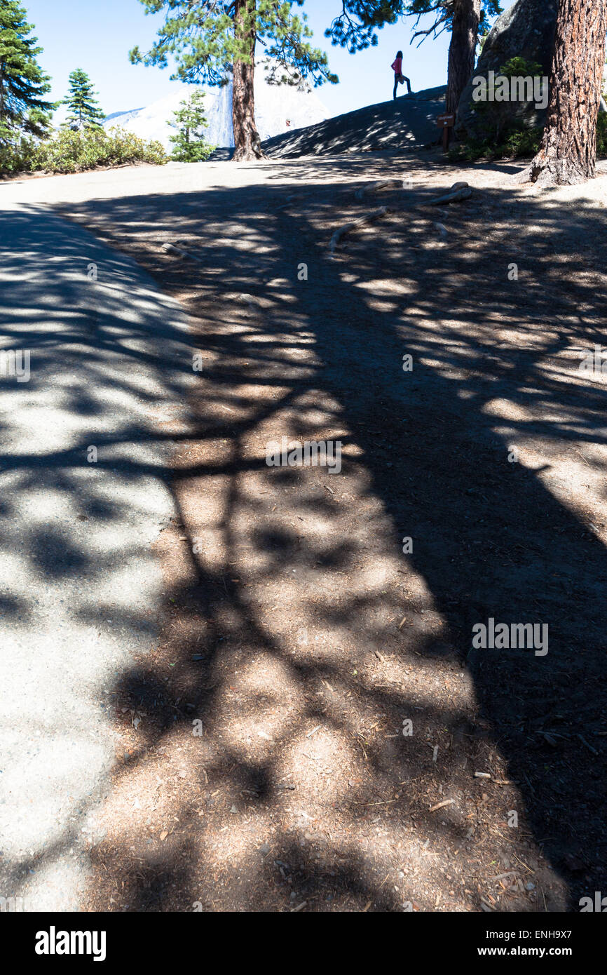 Shadows in Yosemite National park, california, USA Stock Photo - Alamy