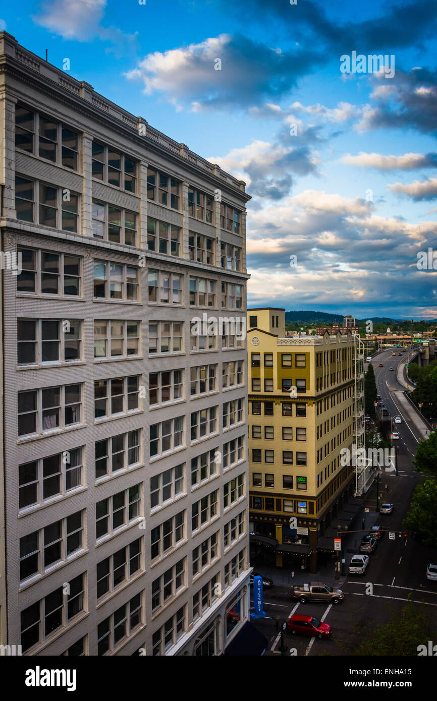 Oregon alder hi-res stock photography and images - Alamy