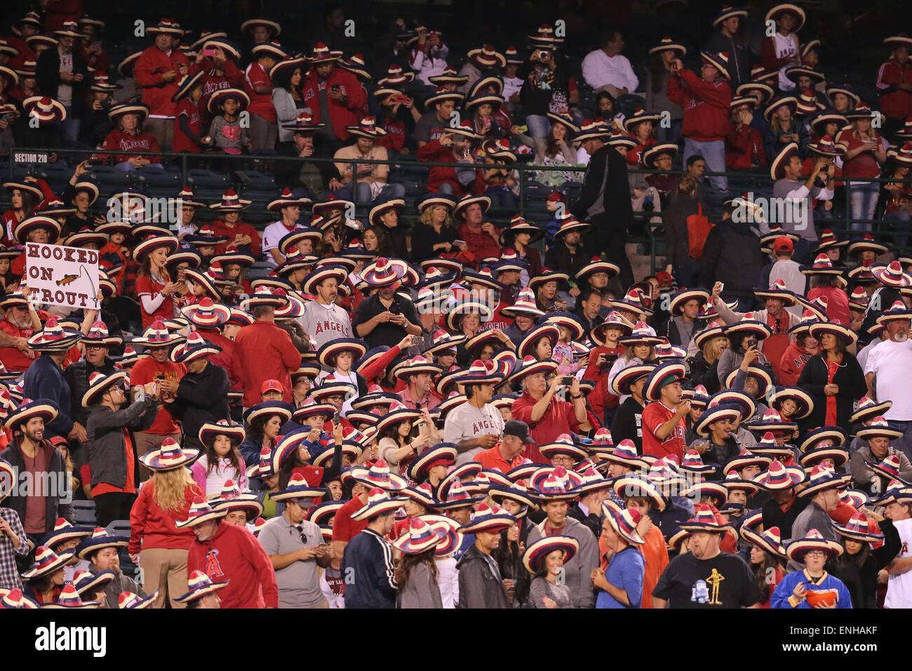 Peter mayo hi-res stock photography and images - Alamy