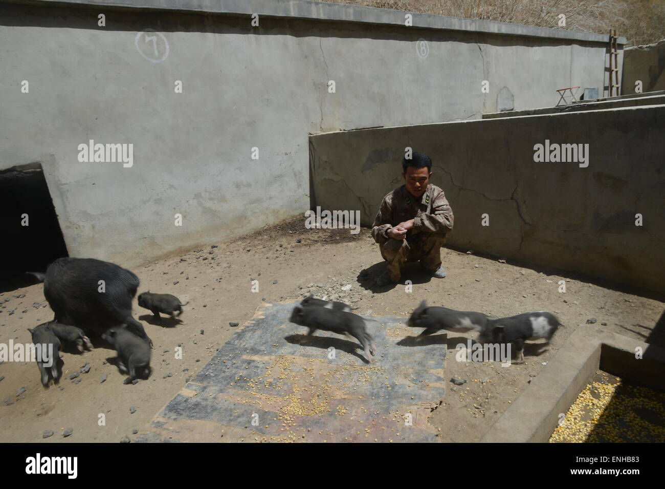 Zanda, China's Tibet Autonomous Region. 5th May, 2015. A soldier of ...