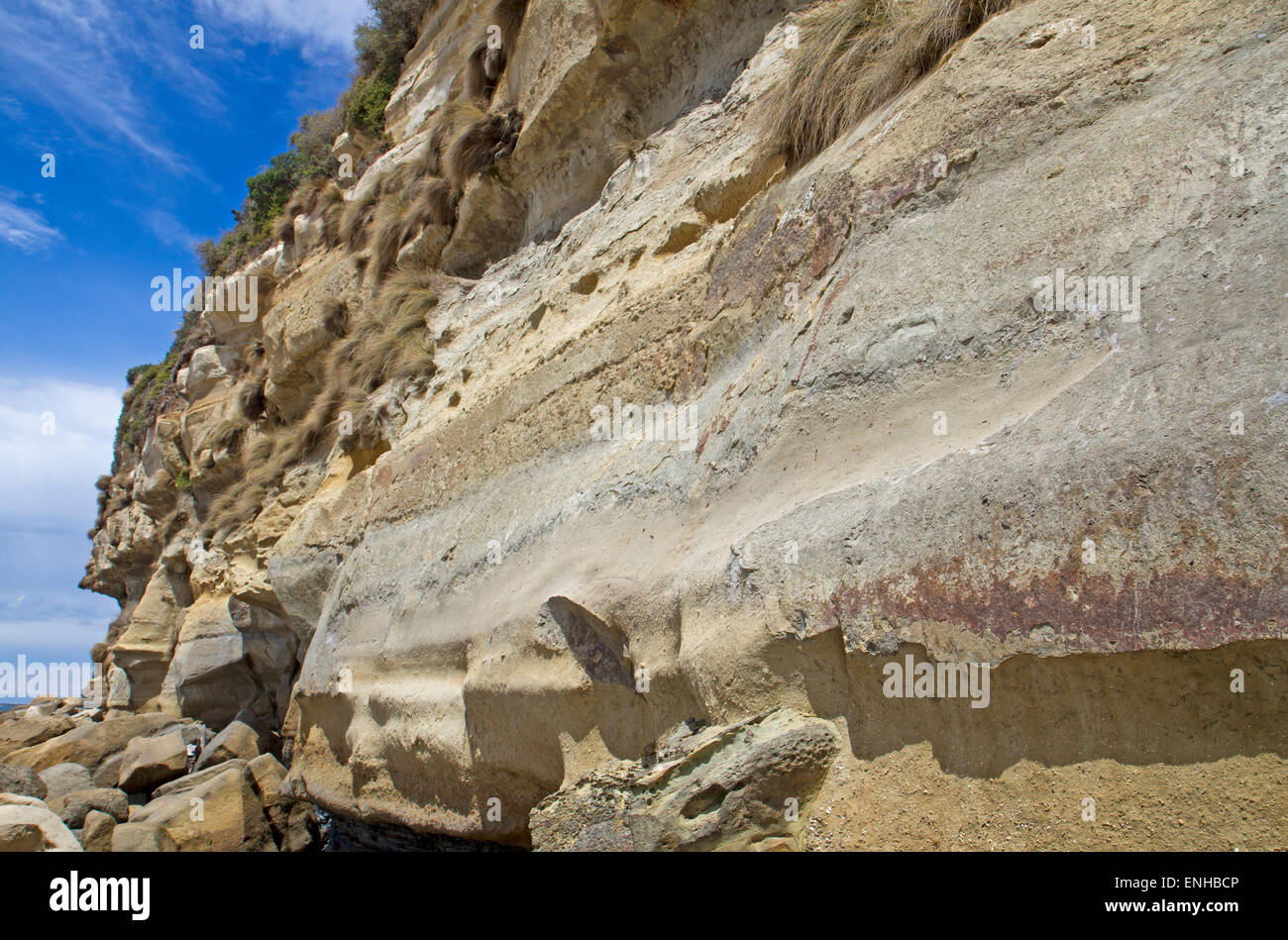 Cliffs at Fossil Bluff Stock Photo - Alamy