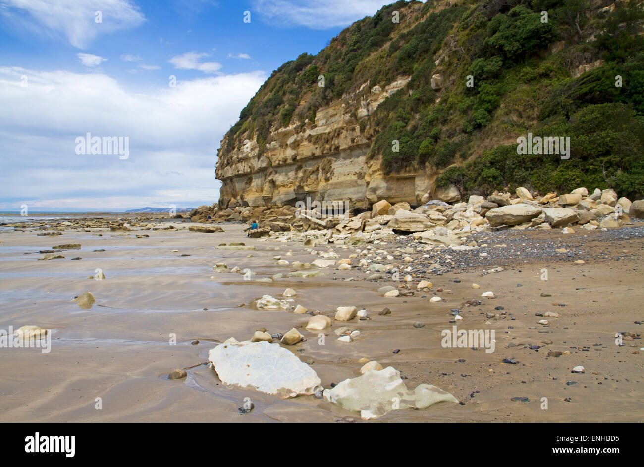 Cliffs at Fossil Bluff Stock Photo - Alamy