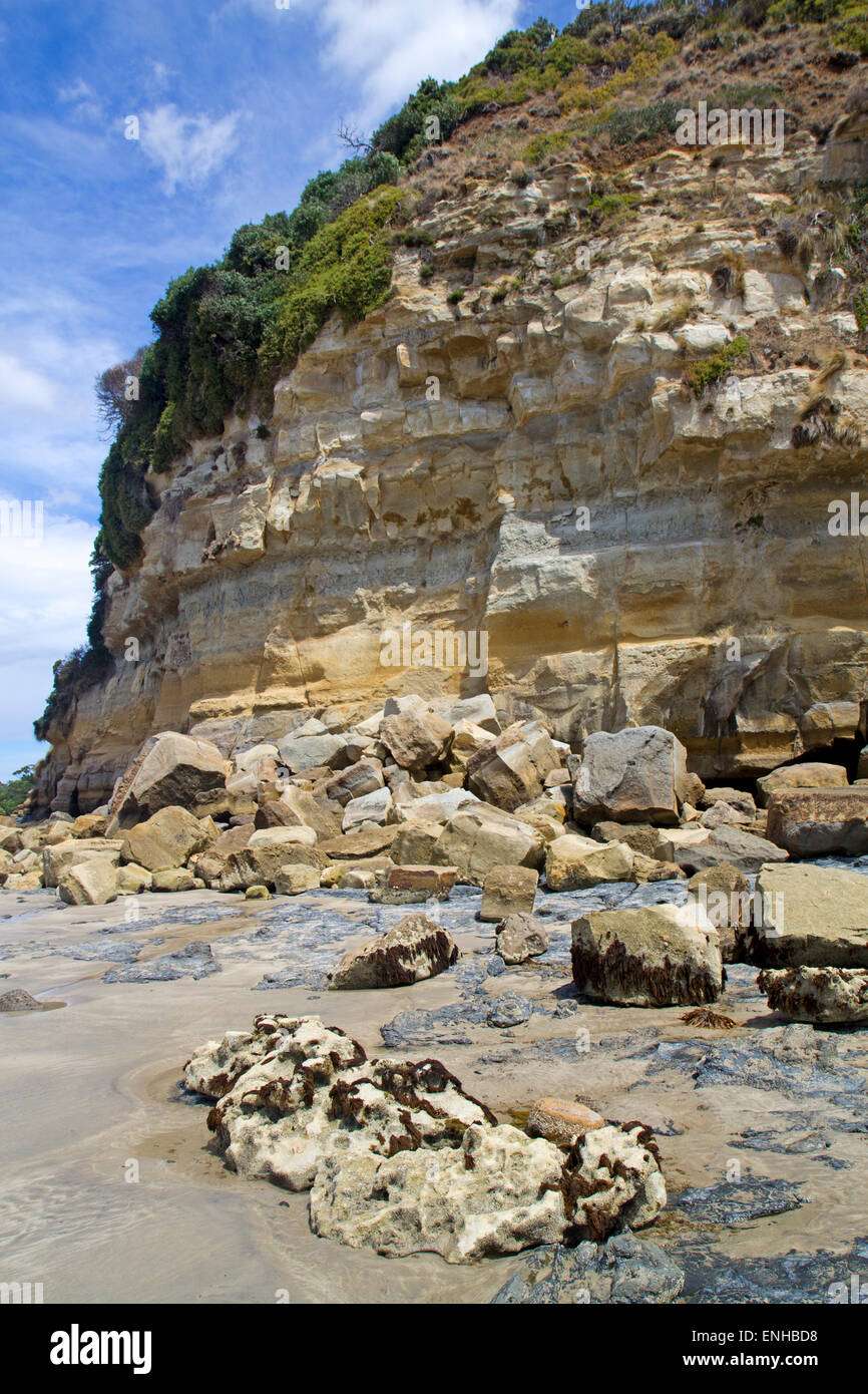 Fossils tasmania hi-res stock photography and images - Alamy