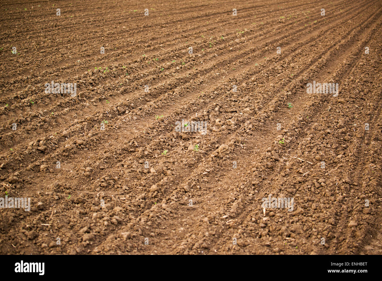 Soil agriculture hi-res stock photography and images - Alamy