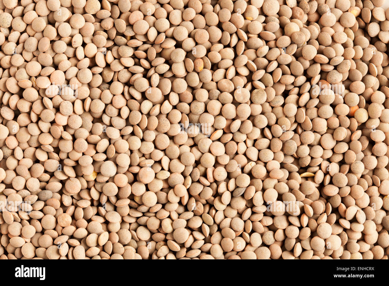 Picture of a lot of brown lentils Stock Photo - Alamy