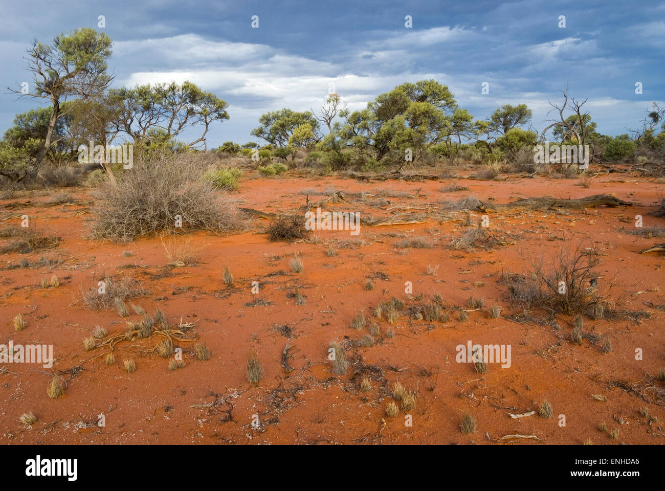 Landscape in the outback, Western Australia, Australia Stock Photo - Alamy