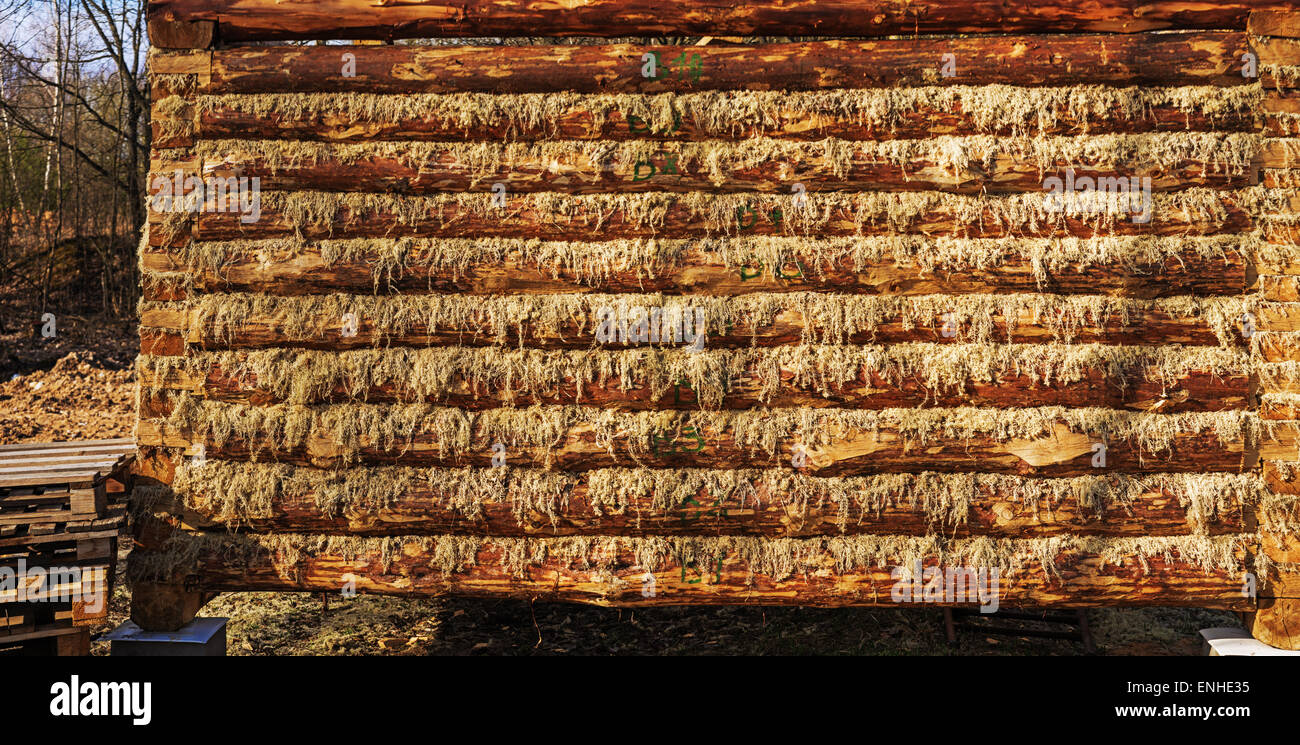 Background from log-house wall Stock Photo - Alamy