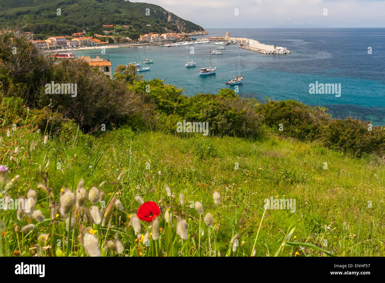 The village of Marciana Marina. Elba island Stock Photo - Alamy