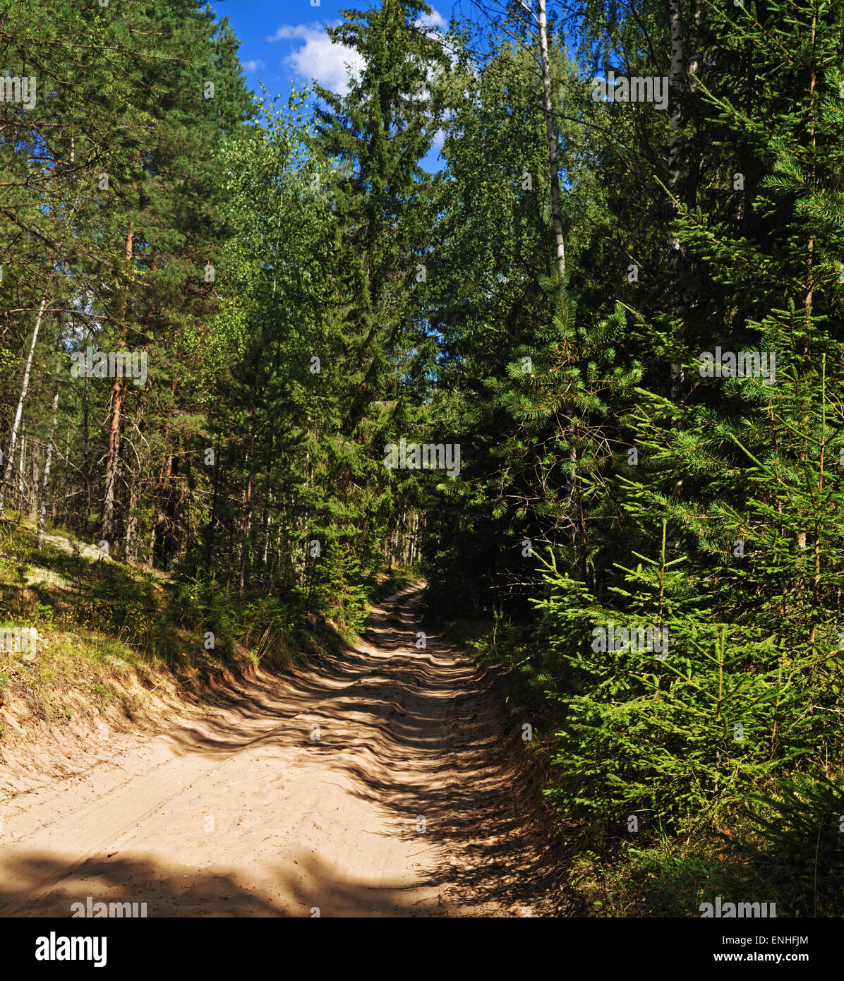 Summer woodland path earth track hi-res stock photography and images ...