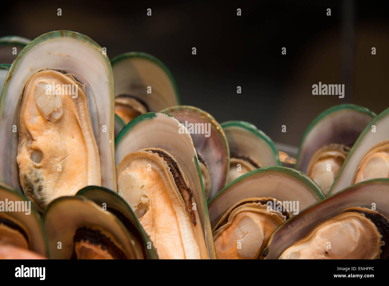 Mussels on ice counter hi-res stock photography and images - Alamy