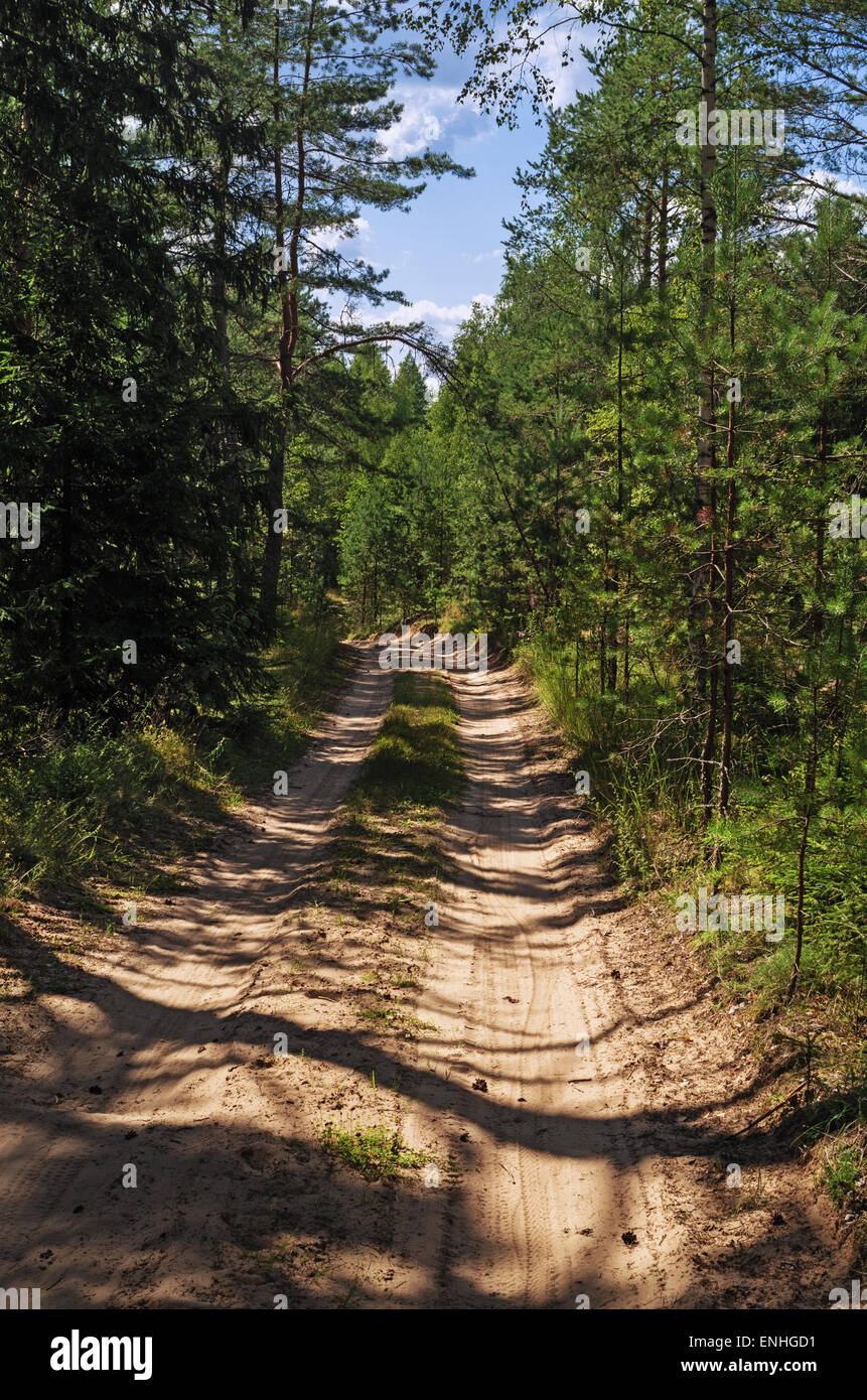 Summer forest road Stock Photo - Alamy