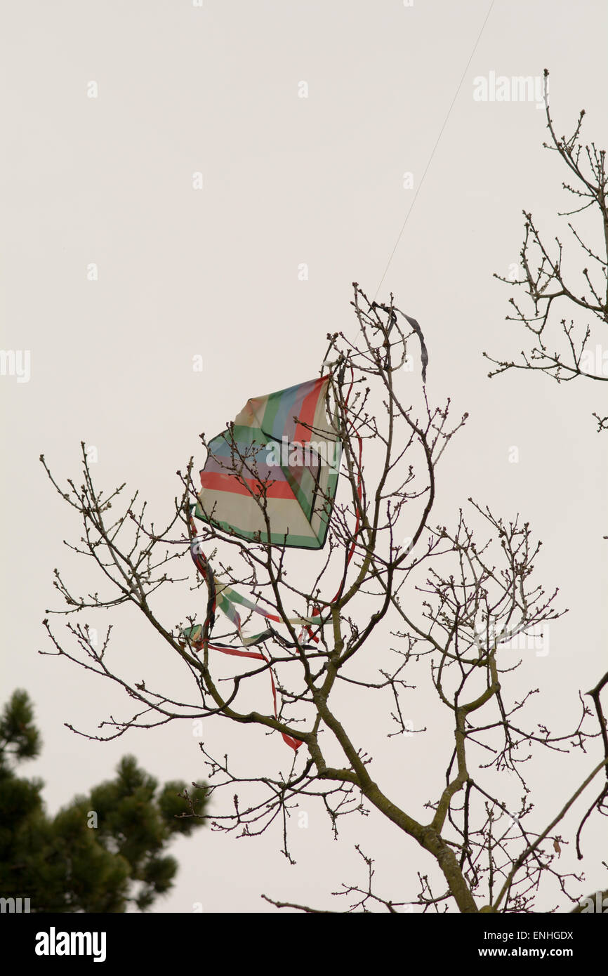 Kite stuck in tree hi-res stock photography and images - Alamy