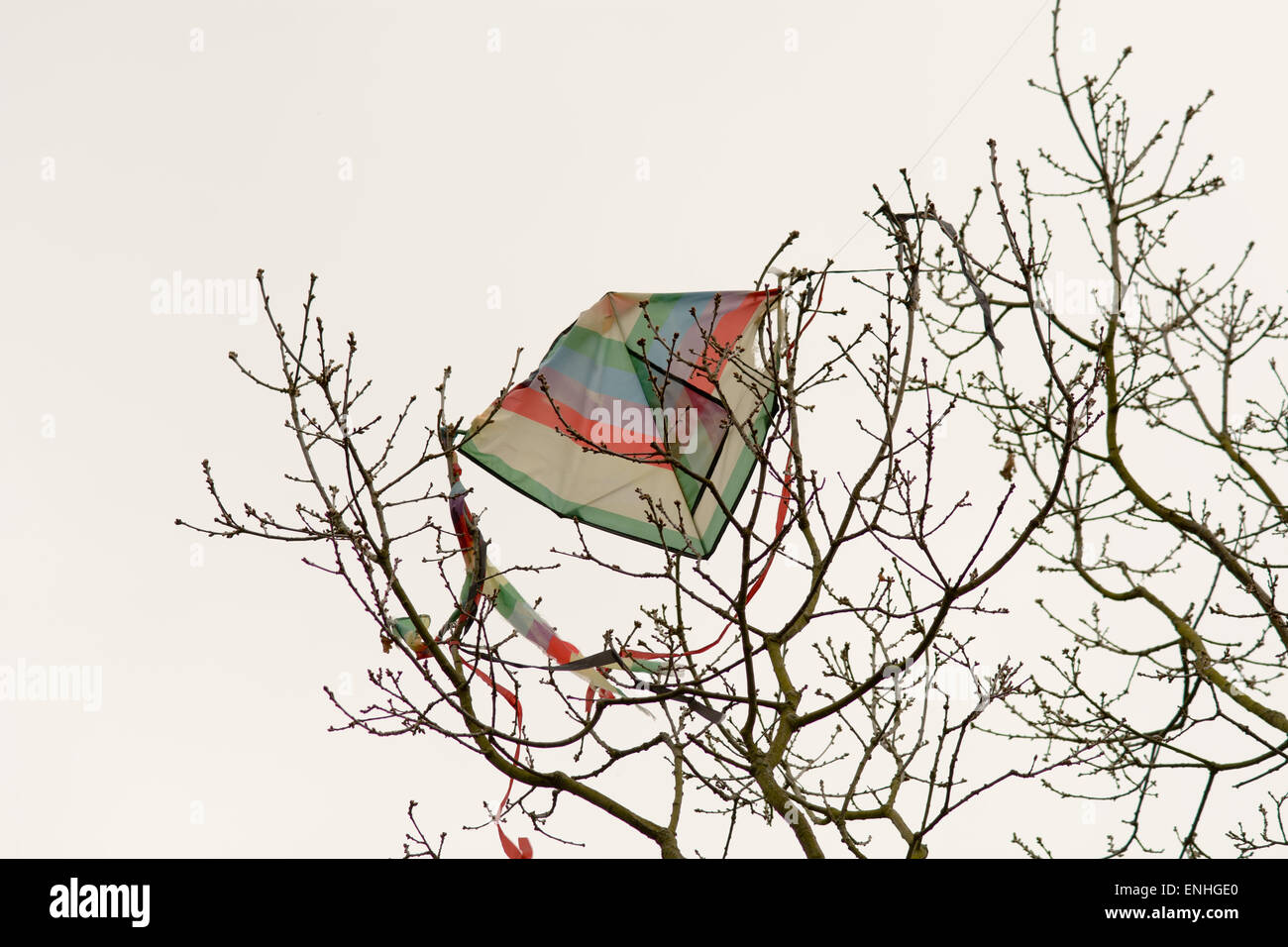 Kite trapped in branches of a tree in a park Stock Photo - Alamy