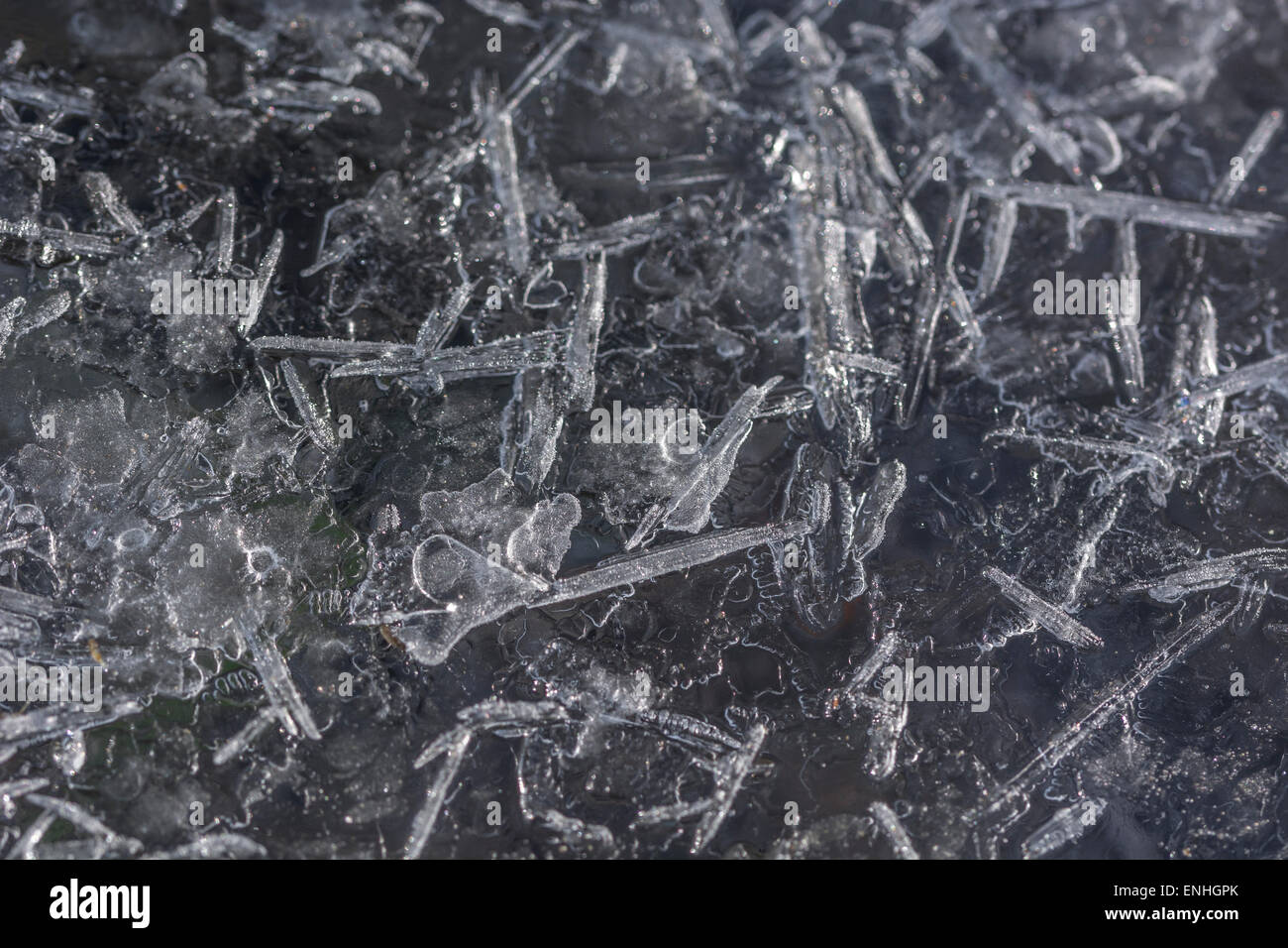 Puddle iced over hi-res stock photography and images - Alamy
